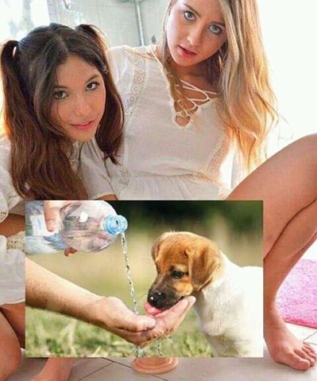 Whats The Name Of This Porn Star 1 Reply 723526 ›