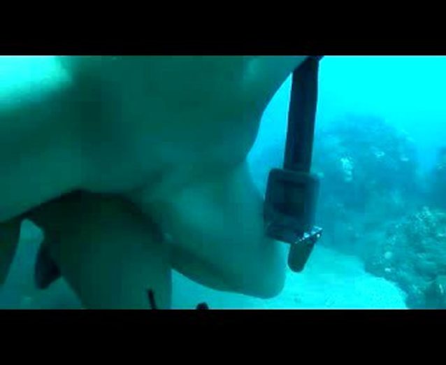 Where Can I Find Full Video 891938 ›