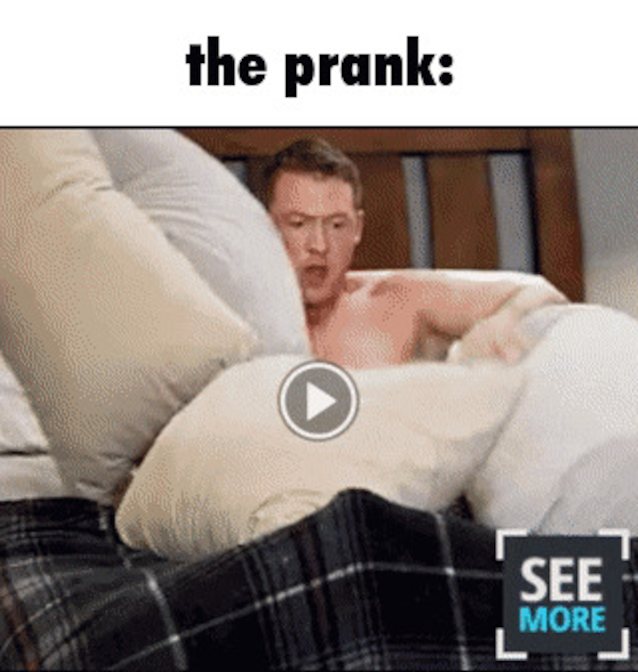 Where Can I Find This Video Gay Porn 1 Reply 1438258 ›